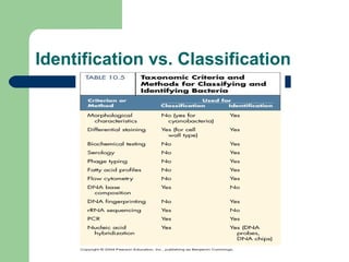 [Micro] classification of prokaryotes | PPT