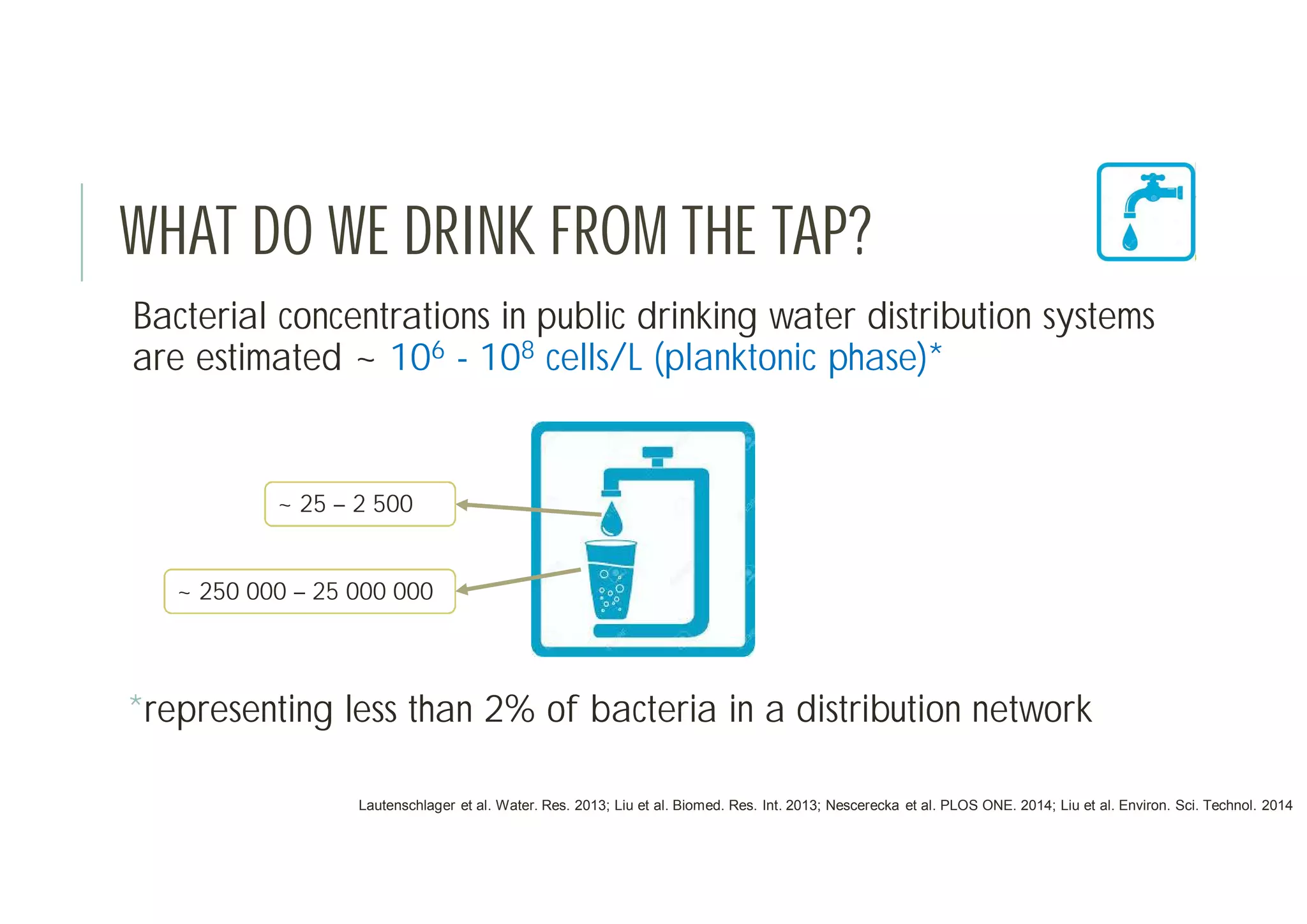 Bacteria in Drinking water | PDF