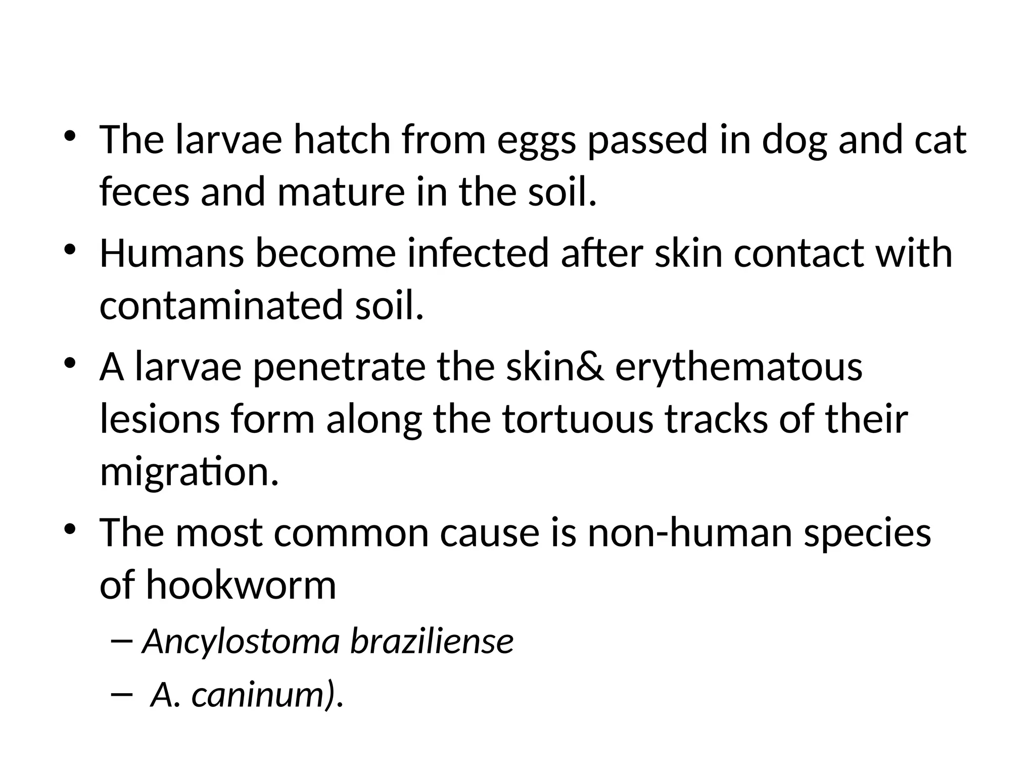 6 LARVA MIGRANS.pptx it can be used to medical issues | PPTX