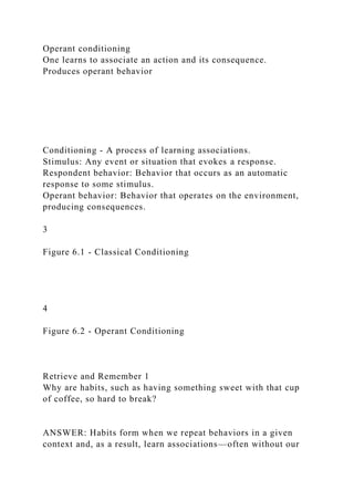 6LearningRevised by Pauline Davey Zeece, University of.docx