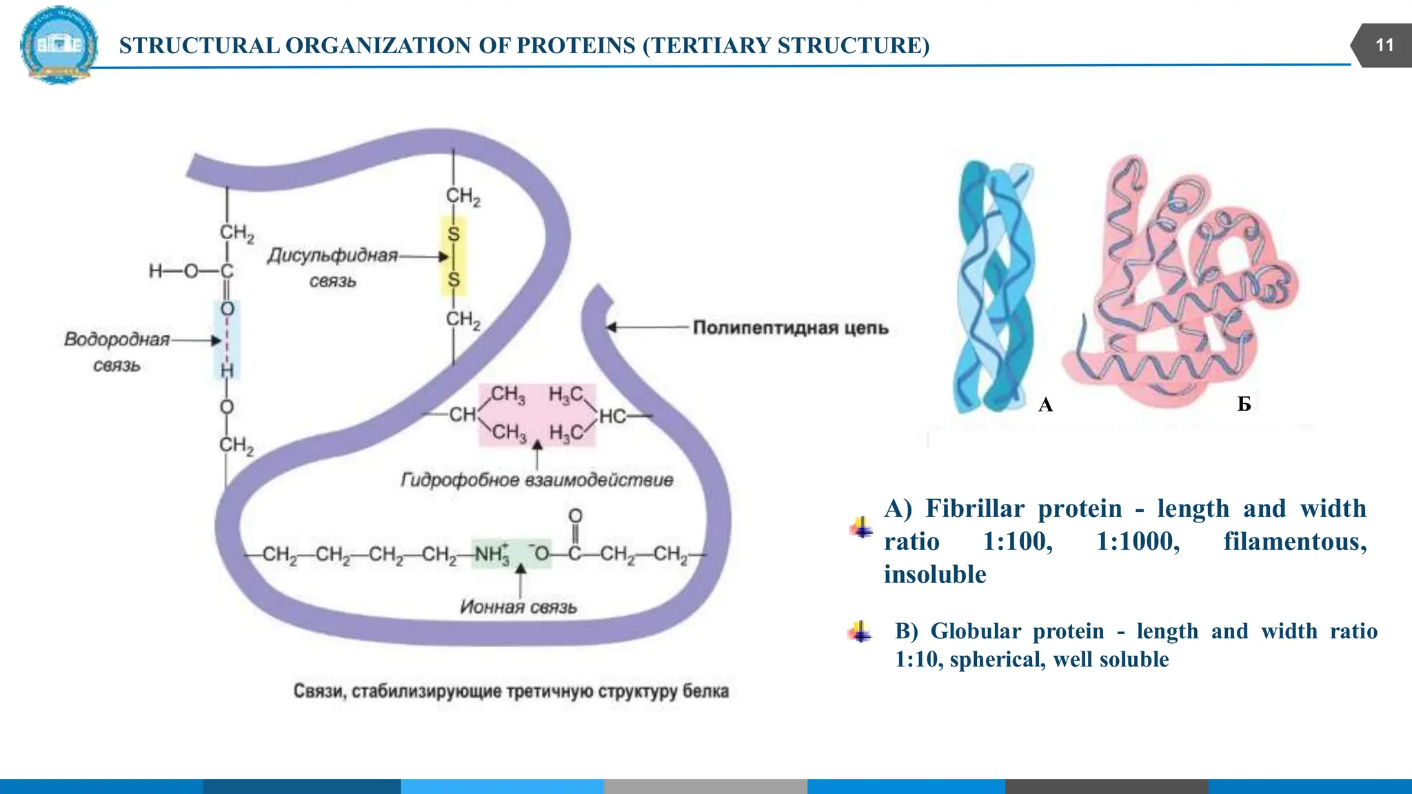 amino acids, proteins, classification of amino acids | PDF
