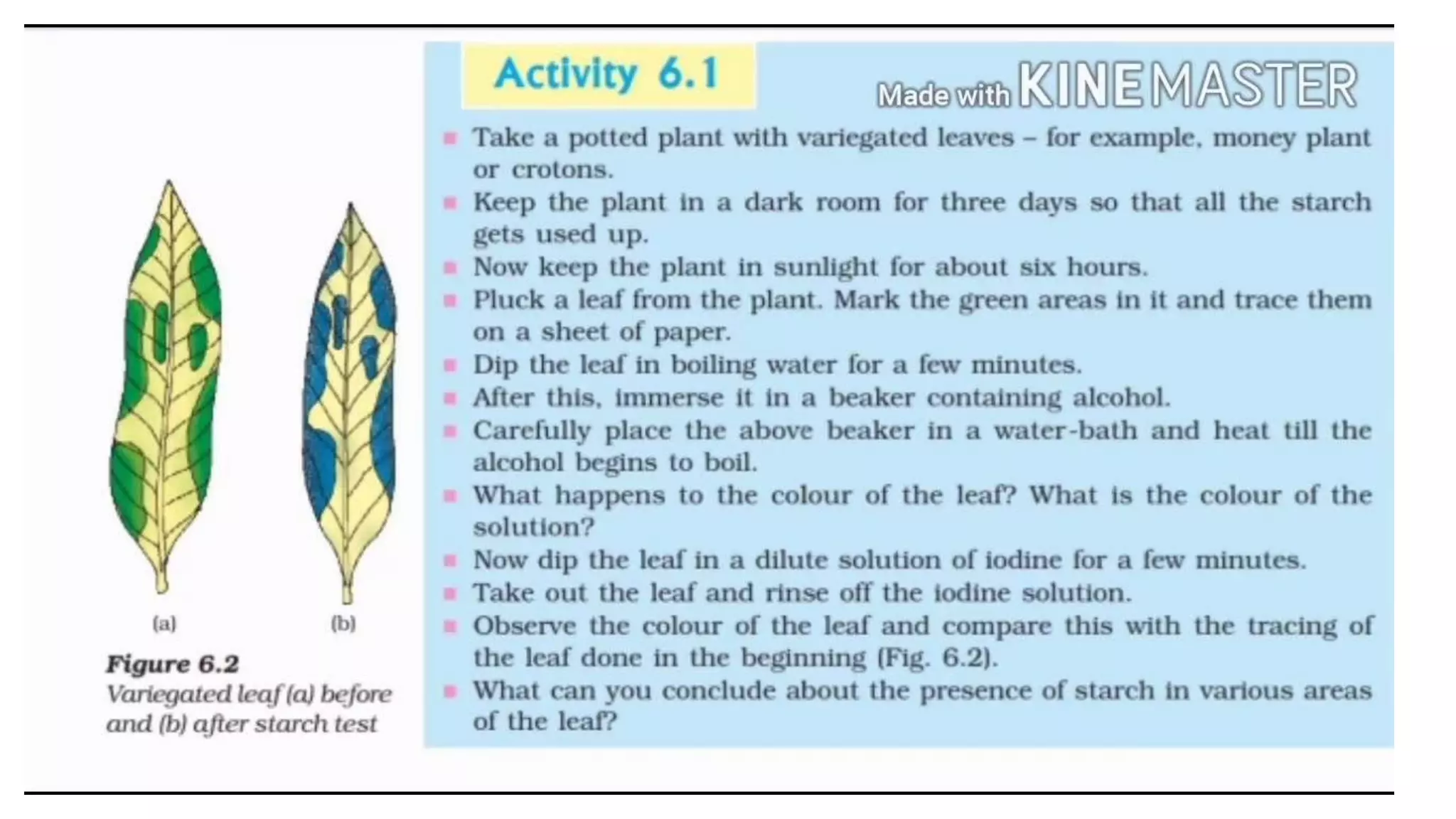 _6 Life Processes Biology pptx.pptx