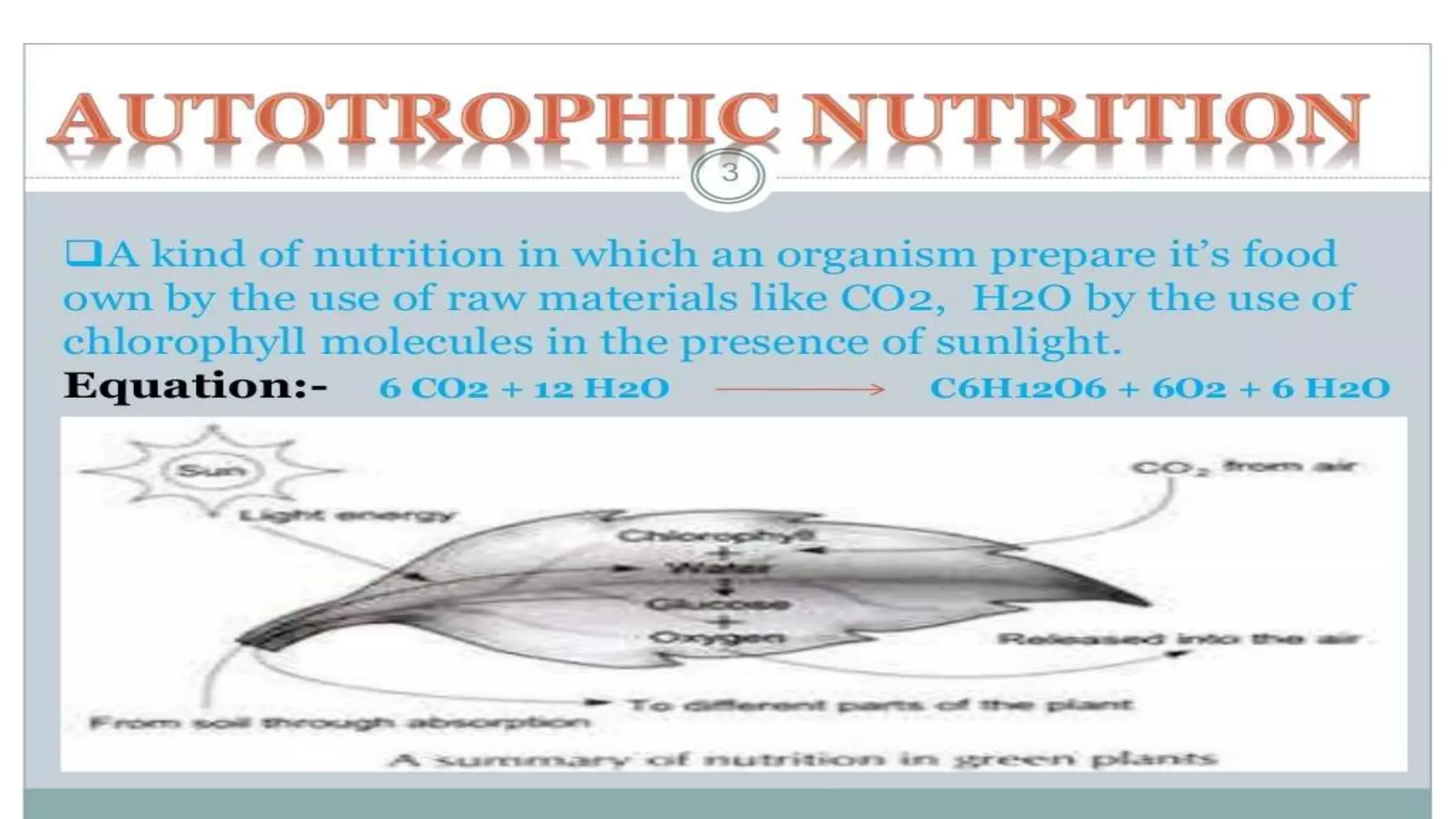 _6 Life Processes Biology pptx.pptx