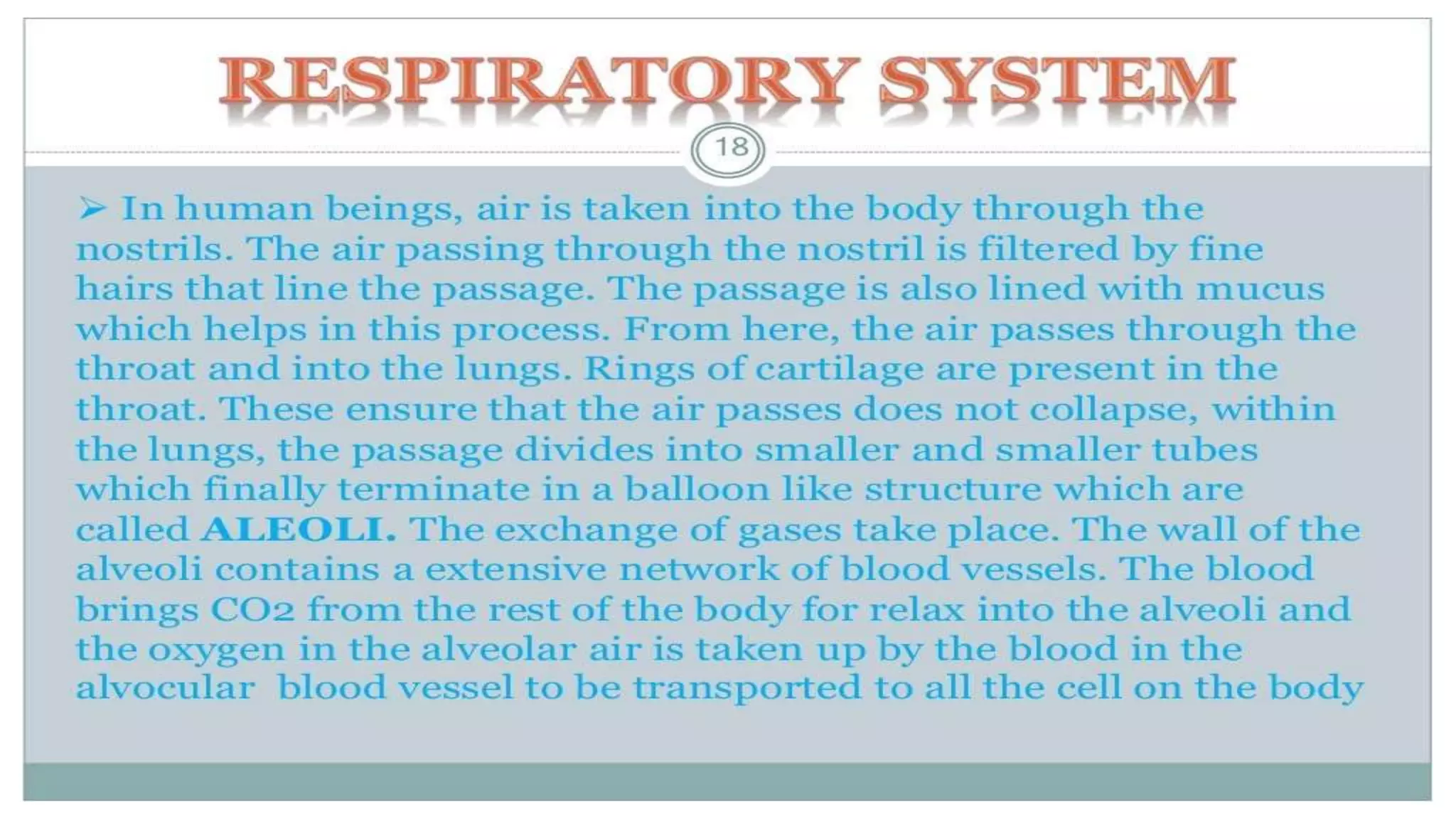 _6 Life Processes Biology pptx.pptx