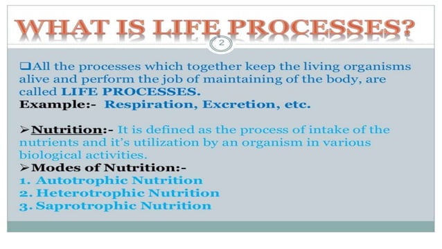 _6 Life Processes Biology pptx.pptx