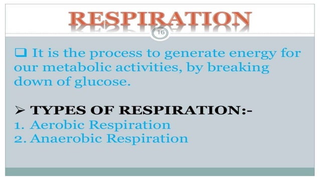 _6 Life Processes Biology pptx.pptx