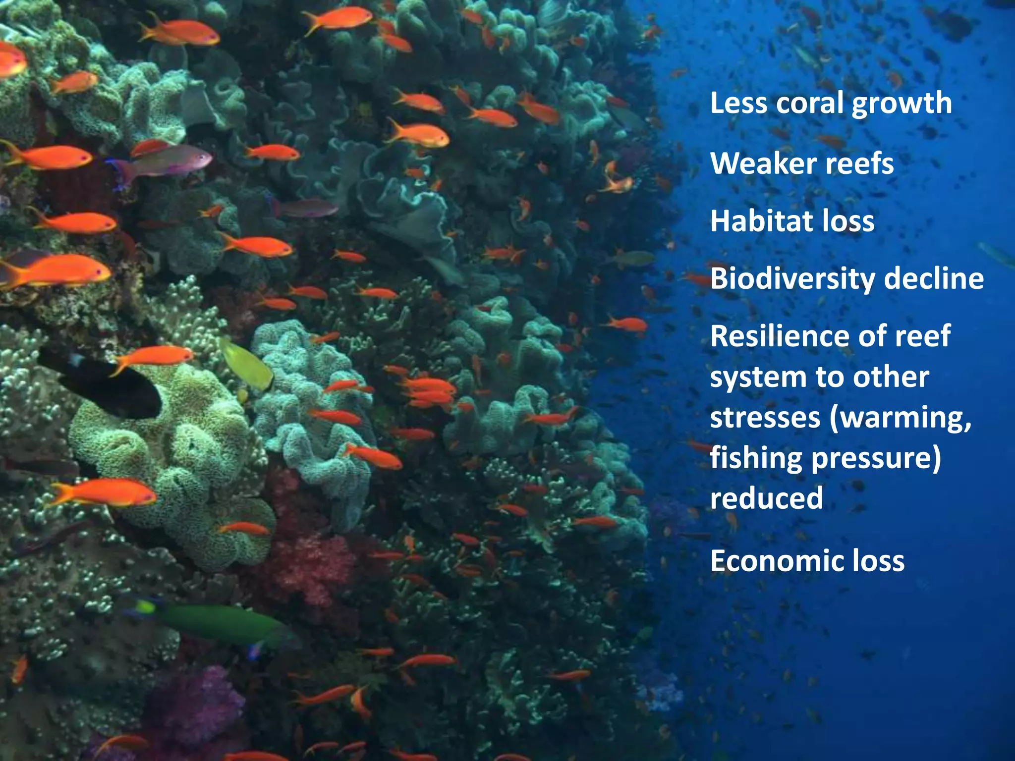 C5.01: Ocean acidification and seawater carbon chemistry of the Great ...