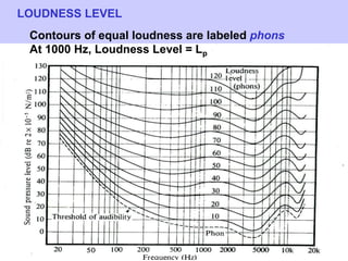 6 loudness | PPT