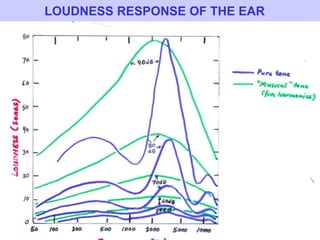 6 loudness | PPT