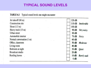 6 loudness | PPT