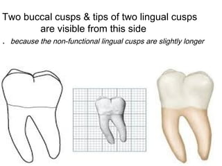 6lower78-150420193655-conversion-gate02.pdf