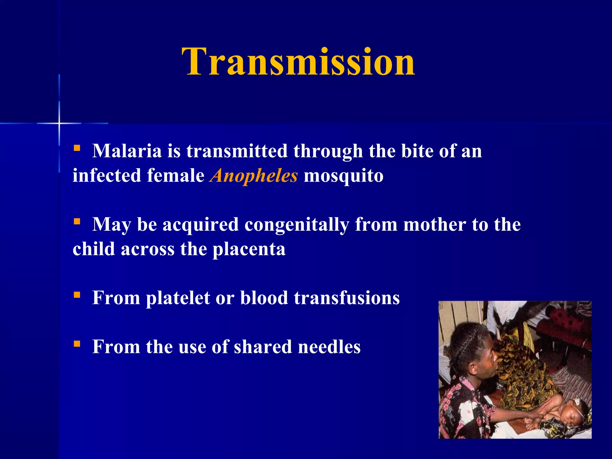 6 malaria, toxoplasmosis | PPT