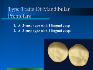 Mandibular Premolars | PPT