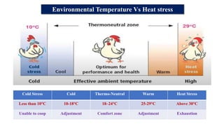 Nutritional Management of Heat Stress in broiler and layers | PDF