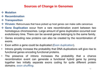 Evolution | PPT