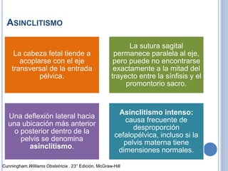 Mecanismo de trabajo de parto | PPTX