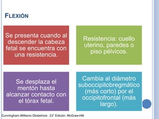 Mecanismo de trabajo de parto | PPTX
