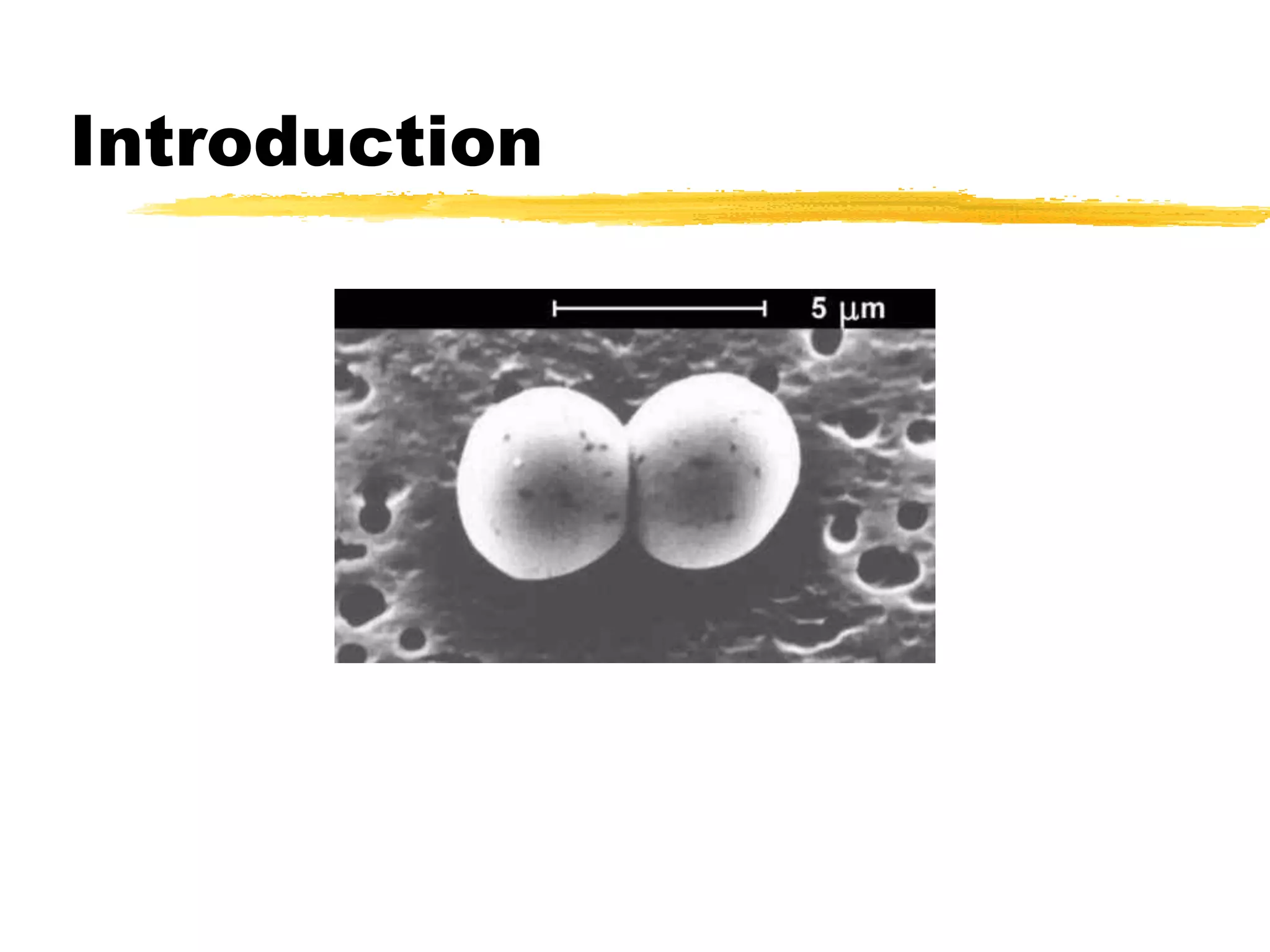 Particle Technology- Membranes and Colloids | PPT