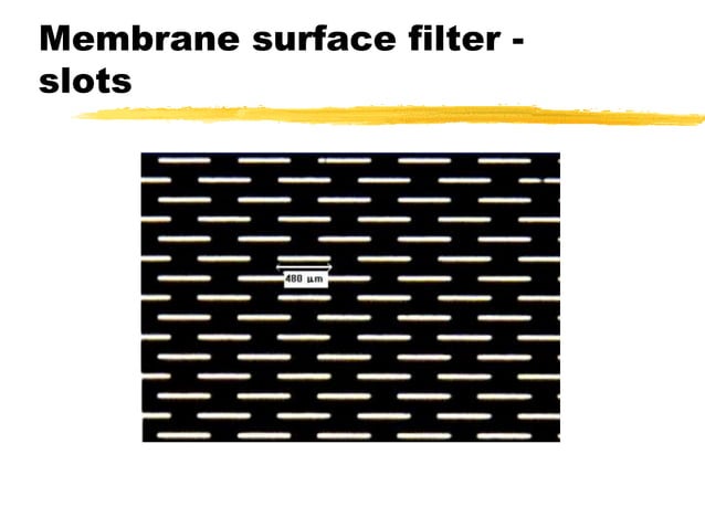 Particle Technology- Membranes and Colloids | PPT