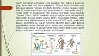 6_Metabolisme_Karbohidrat_dalam_hubungannya_dengan_Diabetes_Mellitus.pptx