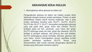 6_Metabolisme_Karbohidrat_dalam_hubungannya_dengan_Diabetes_Mellitus.pptx