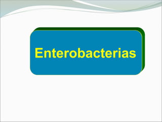 microbiologia medica, bacteria viruz, hongos y paracitos | PDF