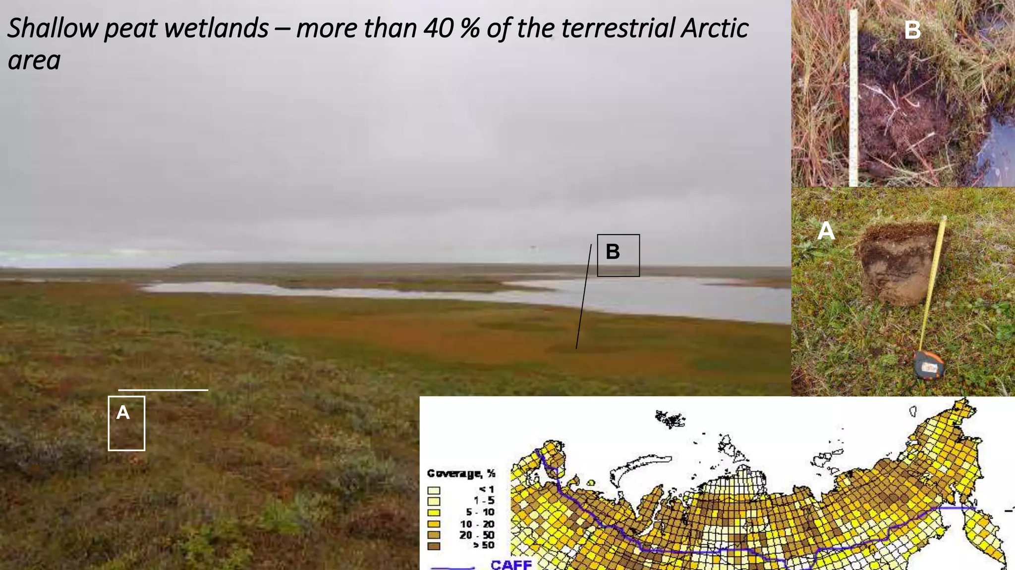 Minayeva Permafrost and Wetlands | PPTX