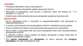 6 Minerals.pptxbiochemistryyyyyyyyyyyyyy | PPTX