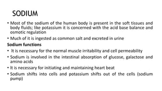 6 Minerals.pptxbiochemistryyyyyyyyyyyyyy | PPTX