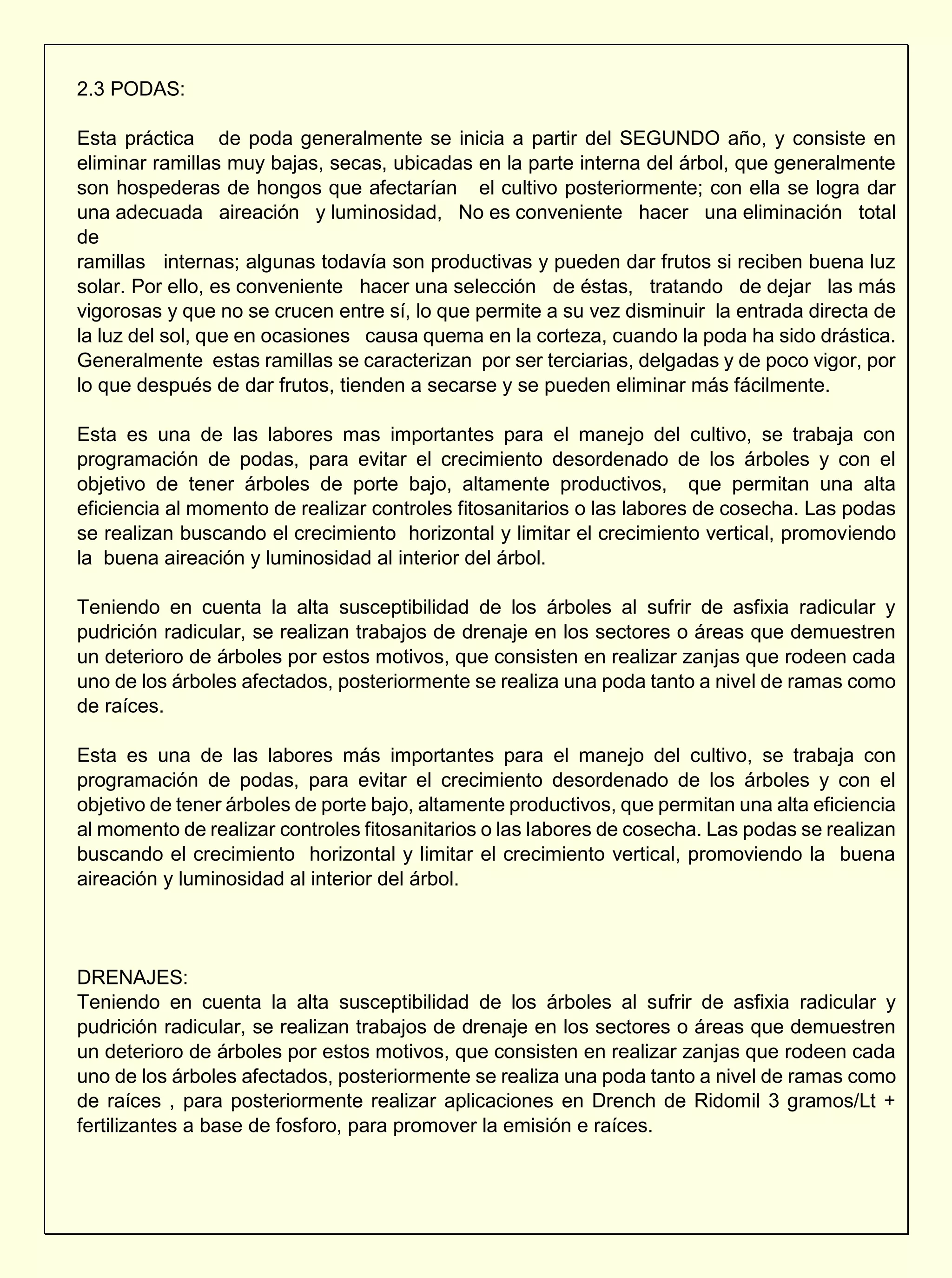 6 mipe aguacate cadc final | PDF