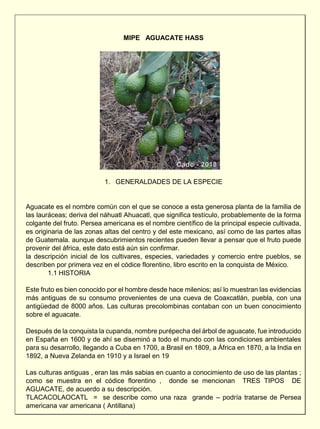 6 mipe aguacate cadc final | PDF