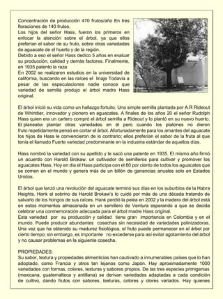 6 mipe aguacate cadc final | PDF