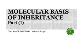 6 molecular basis of inheritance extra | PPT