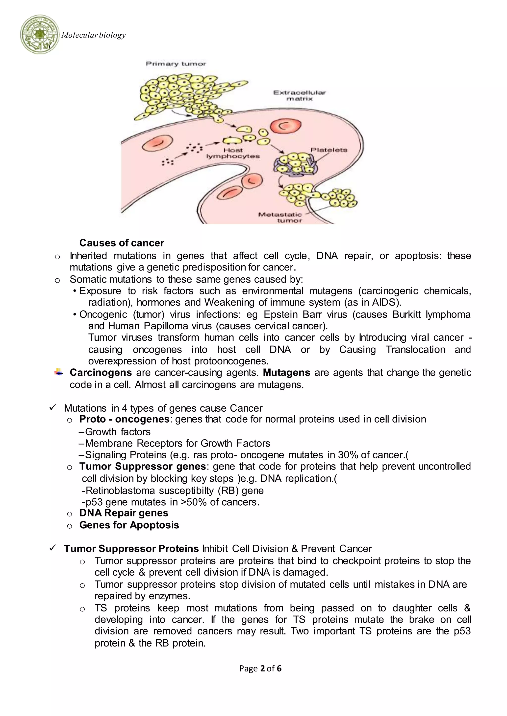 Molecular biology of cancer | DOC