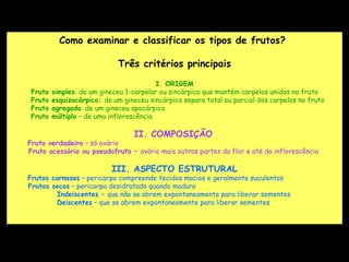 6º_morf_externa_fruto_biologia_botanica.ppt