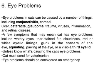 6 most common cat health problems & vaccination schedule | PPT