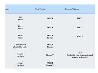6 most common cat health problems & vaccination schedule | PPT