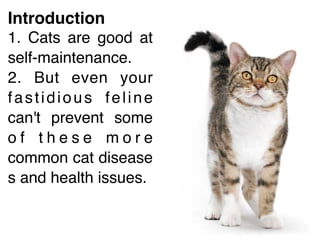 6 most common cat health problems & vaccination schedule | PPT
