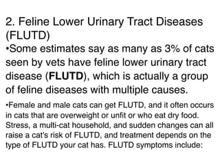 6 most common cat health problems & vaccination schedule | PPT