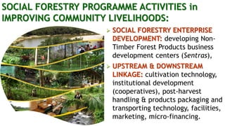 A Future for Social Forestry in the Indonesia and ASEAN Economic ...