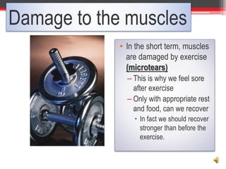 6 Musculoskeletal system Lec # 5.pptx