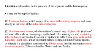 DPT - Microbiology II (Acid fast Bacilli) - Mycobacteria | PPTX