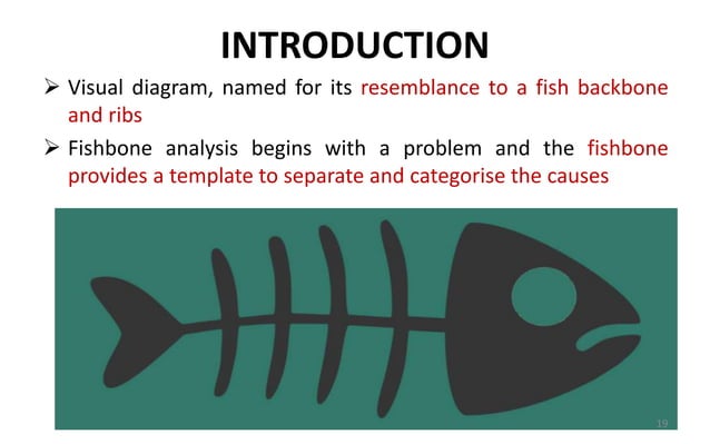FISH BONE ANALYSIS | PPTX | Business | Business and Finance