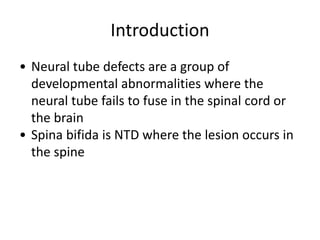 6Neural tube defects.pptx