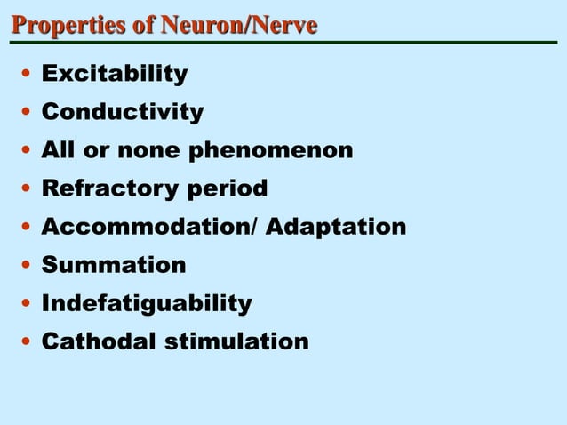 6_Neuron.ppt