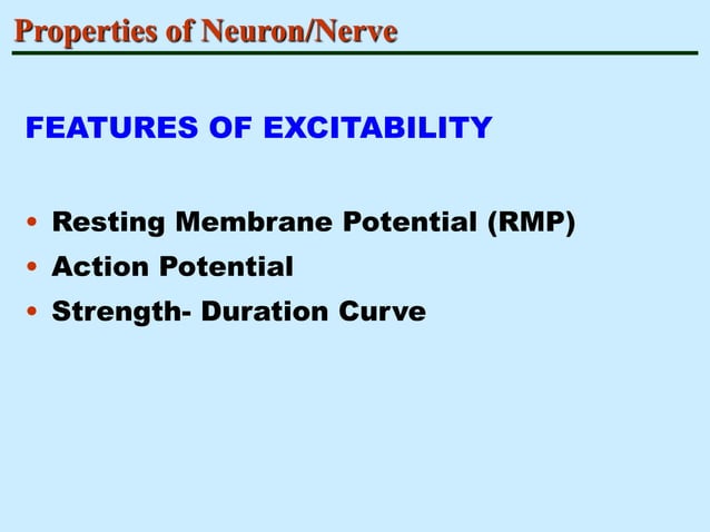 6_Neuron.ppt