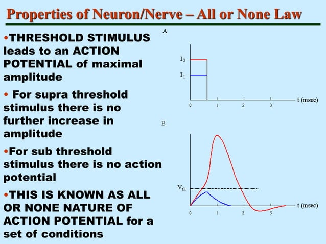 6_Neuron.ppt