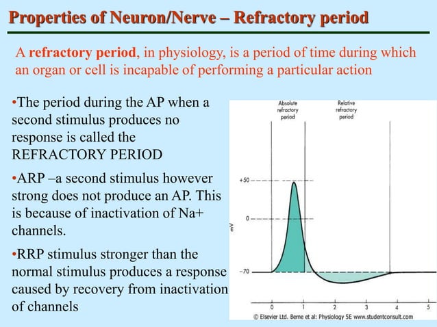 6_Neuron.ppt