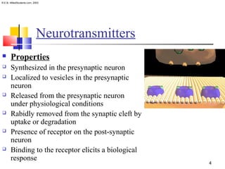 neuron structure and function | PPT
