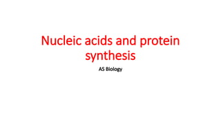 6 Nucleic acids and protein synthesis.pptx